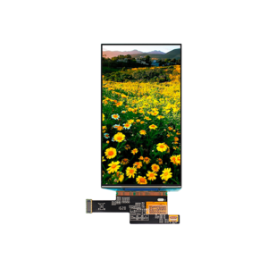 Exploring The Brilliance Of OLED Displays: A Glimpse Into The Future Of ...